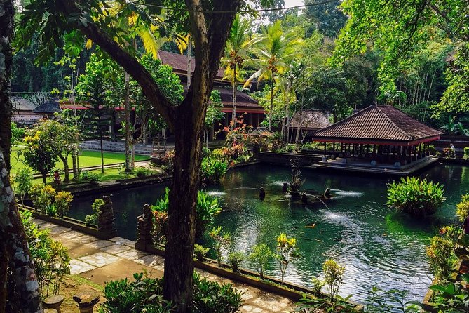 Ubud Top Attractions: Waterfalls, Temples and Rice Terraces - Final Thoughts: Who Is This Tour Best For?