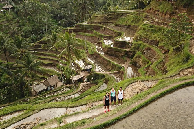 Ubud Top Attractions: Waterfalls, Temples and Rice Terraces - FAQ