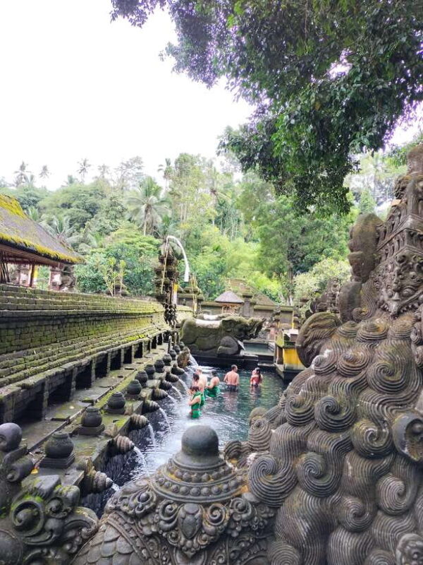 Ubud Top tour in a day - A Practical Introduction to the Tour