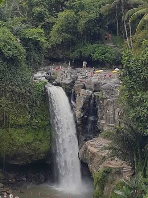 Ubud Top tour in a day - FAQs