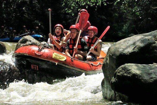 Ubud Tour And Bali White Water Rafting - Who Should Consider This Tour?