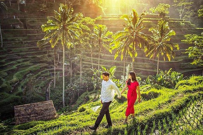 Ubud Tour : Best of Ubud with All inclusive - Who Will Love This Tour?