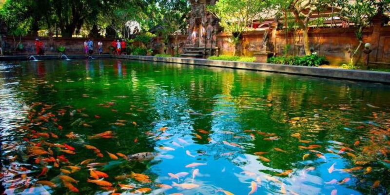 Ubud Tour : Explore the best places in Ubud Area. - Value and Practicalities