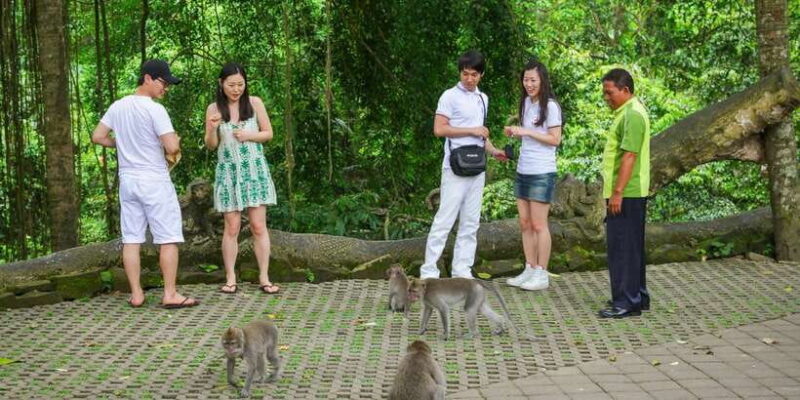 Ubud Tour : Explore the best places in Ubud Area. - Final Thoughts: Is This Ubud Tour Worth It?