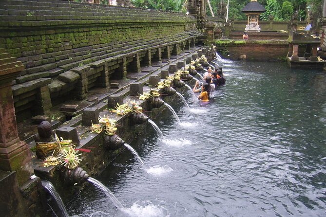 Ubud Tour : Monkey forest, Rice terrace, Water temple, Waterfall & Jungle Swing - Who This Tour Is Best For