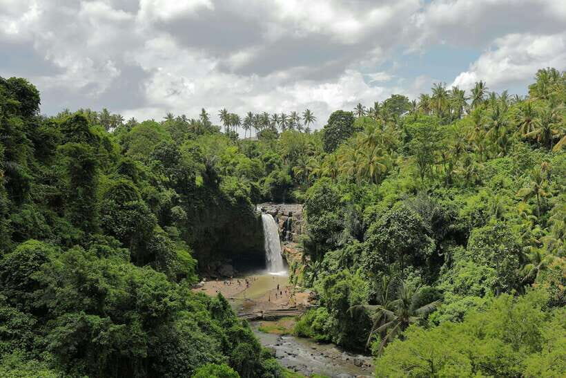Ubud Tour Monkey Forest Rice Terraces Bali Swing Tirta Empul - The Sum Up