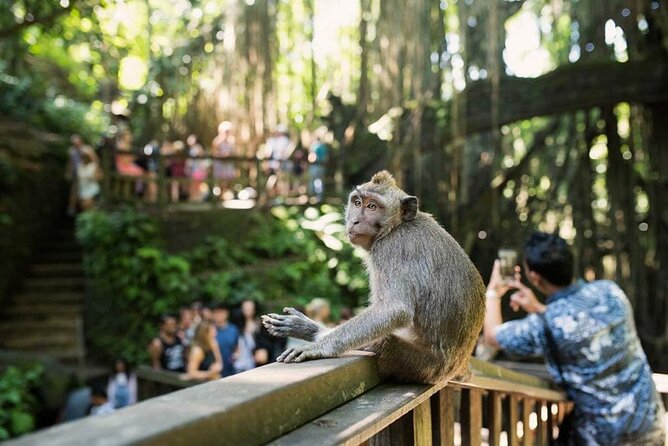 Ubud Tour: Monkey forest, rice terraces, temple, waterfall - Final Verdict
