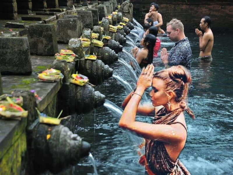 Ubud Tour: Monkey Forest, Tegalalang Rice Terrace, & temple - Why Choose This Tour?