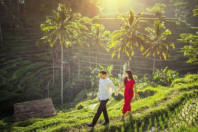 Ubud Tour - Monkey Forest, Temple, Waterfall, and Rice Terrace - Introduction