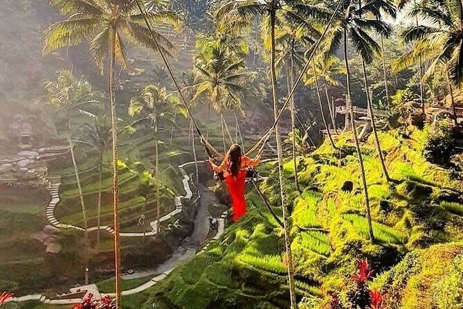 Ubud Tour (Monkey Forest, Tirta Empul Temple, Waterfall, Rice Terrace and Swing) - Key Points