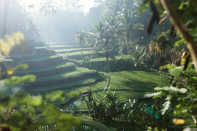 Ubud Tour Water Temple with Jungle Swing - What Makes This Tour Stand Out?