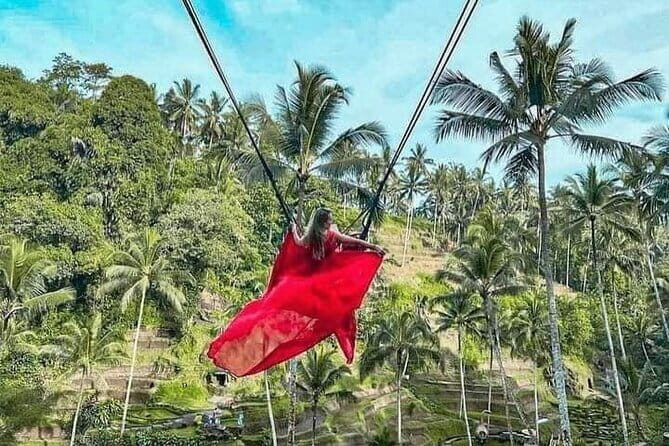 Ubud Tour with all includes - Exploring the Ubud Tour in Detail