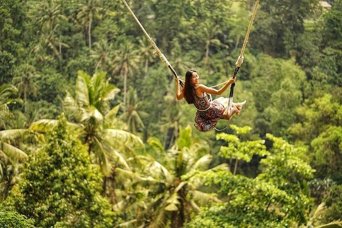 Ubud Tour With Bali Swing All Inclusive - An Introduction to the Ubud Experience