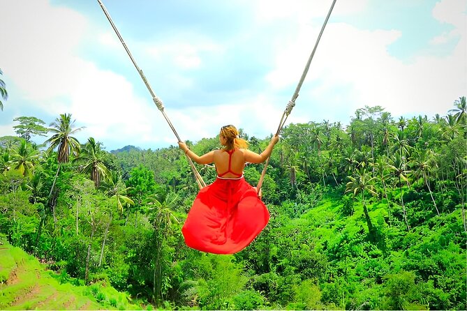 Ubud Tour with Jungle Swing and Waterfall Water Temple - An Introduction to the Ubud Experience