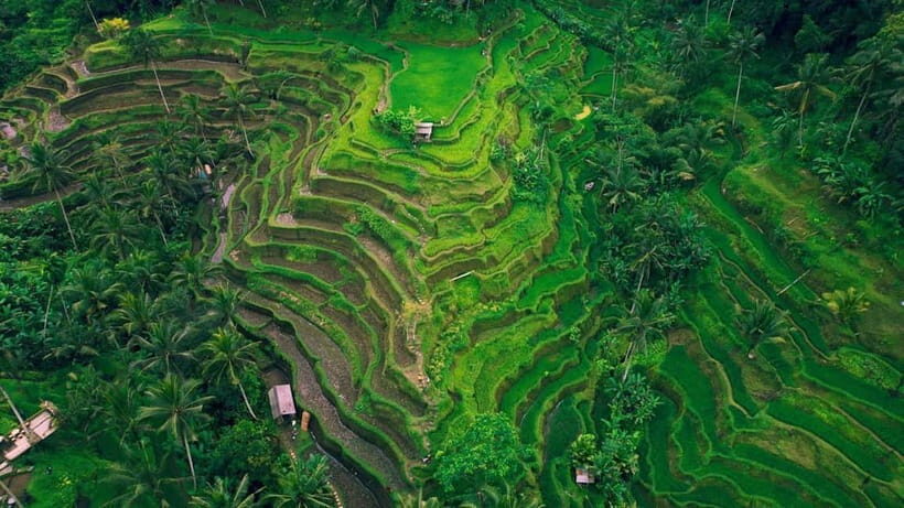 Ubud Tour with Optional English, Spanish and Italian Guide - FAQ