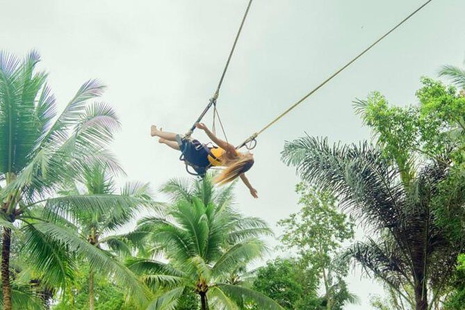 Ubud Tours: Culture, Palace, Temple, Rice field walks, Local show, Monkey Forest - Final Thoughts