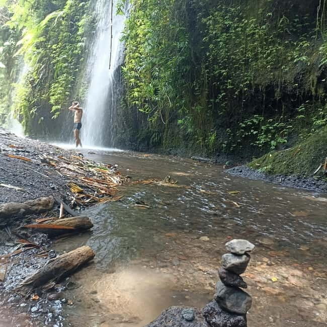 ubud trip monkey forest sanctuary - An In-Depth Look at the Ubud Trip Experience
