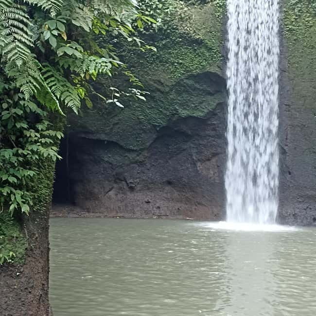ubud trip monkey forest sanctuary - Authenticity and Value