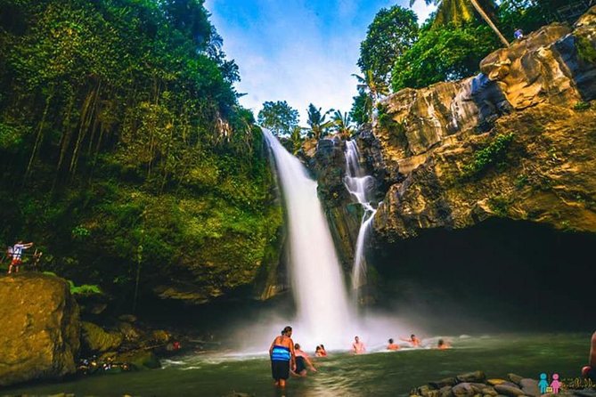 Ubud Trip, The Best of Ubud in a day - All Inclusive - FAQ