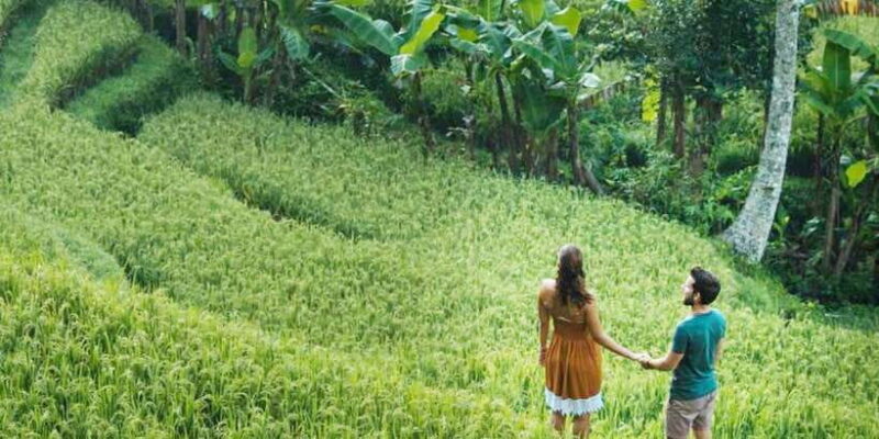 Ubud Twilight: Rice Terraces, Art, & Cultural Feast - Practical Details: What’s Included and What’s Not