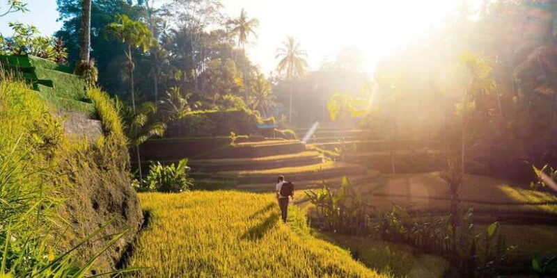 Ubud Twilight: Rice Terraces, Art, & Cultural Feast - Authentic Experiences and Honest Feedback from Travelers