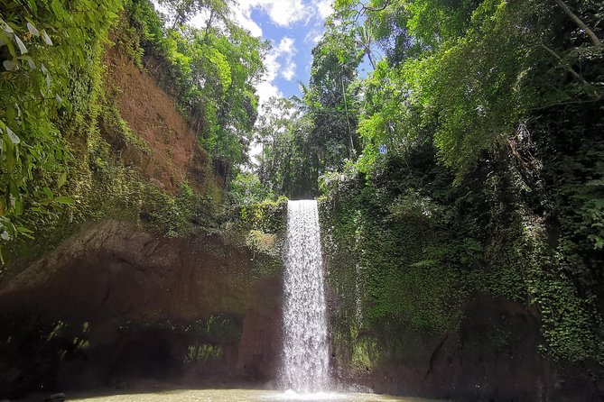 Ubud Village, Tegalalang Rice Terrace Swing, Tirta Empul Temple and Waterfafall - Exploring the Itinerary in Detail