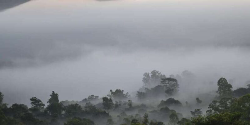 Ubud & Volcano Hot Springs Tours - Detailed Breakdown of the Itinerary
