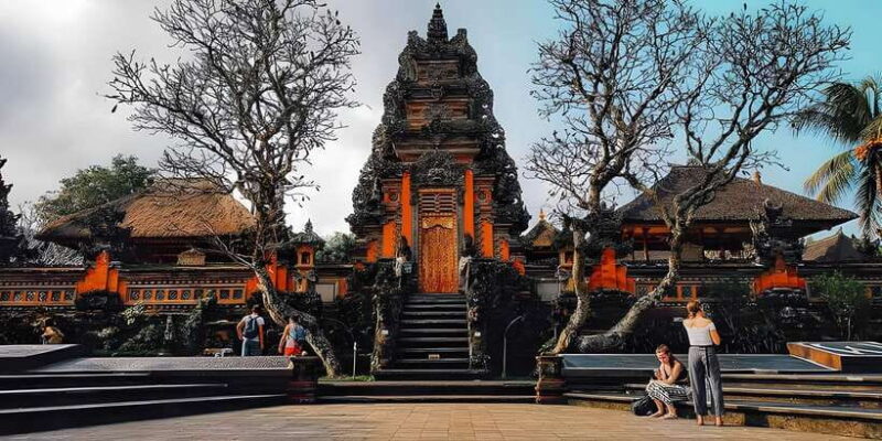 Ubud VW Safari Bali Tour - What Youll Experience in the VW Safari