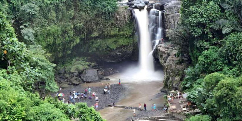 Ubud VW Safari Bali Tour - Transport, Timing, and Practicalities