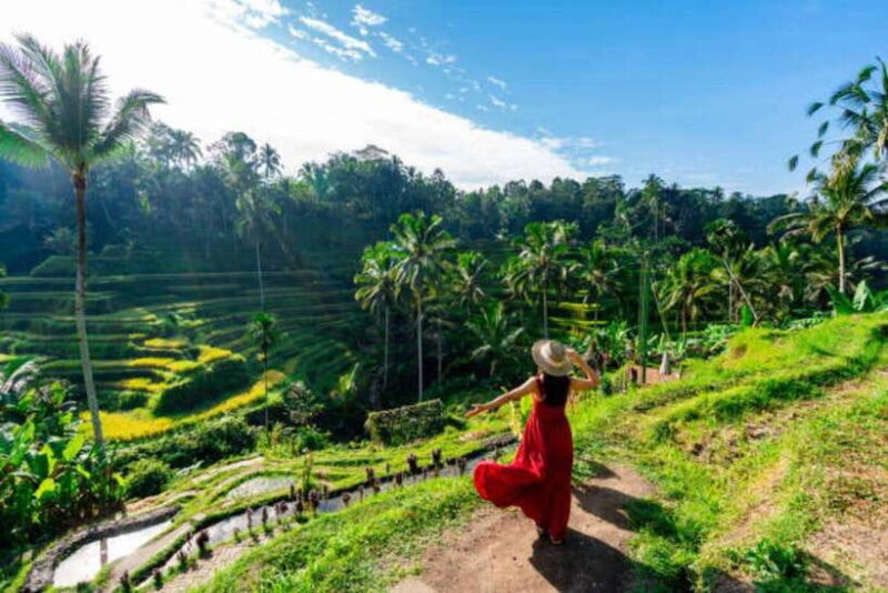 Ubud: Water Temple, Rice Terrace, and Waterfalls Tour - Who Is This Tour Best For?