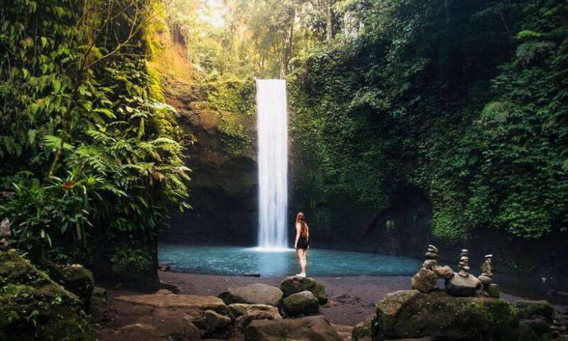 Ubud: Water Temple, Rice Terrace, Waterfall, Private Tour - Key Points