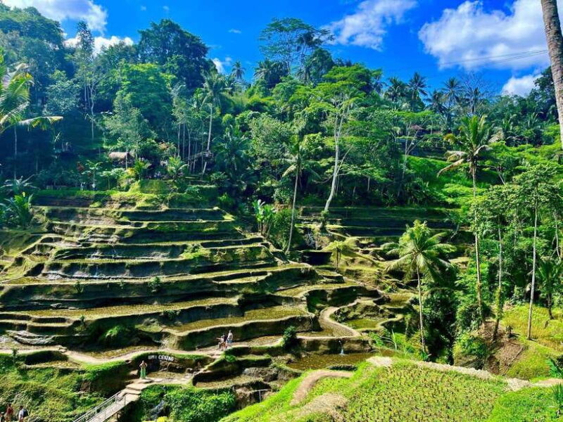 Ubud: Water Temple, Rice Terrace, Waterfall, Private Tour - FAQ
