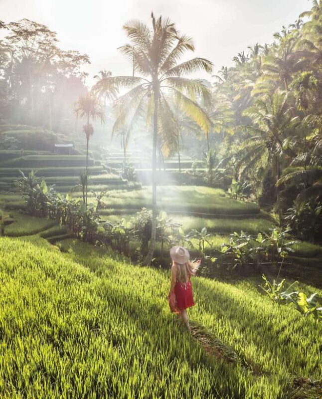 UBUD : Water Temples, Waterfalls, and Rice Terraces Tour - Ulu Petanu Waterfall: Nature’s Calm