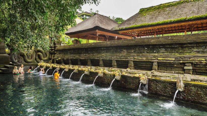 UBUD : Water Temples, Waterfalls, and Rice Terraces Tour - Who Will Benefit Most from This Tour?
