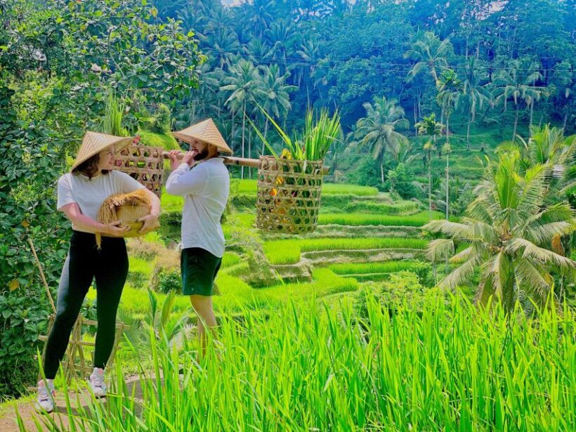Ubud Waterfall, coffe plantation,and Atv Quad Bike - Exploring Bali’s Waterfalls: A Natural Treasure Hunt