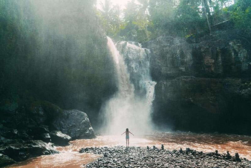Ubud: Waterfall, Rice Terrace & Temple Private Day Tour - The Experience from a Traveler’s Perspective