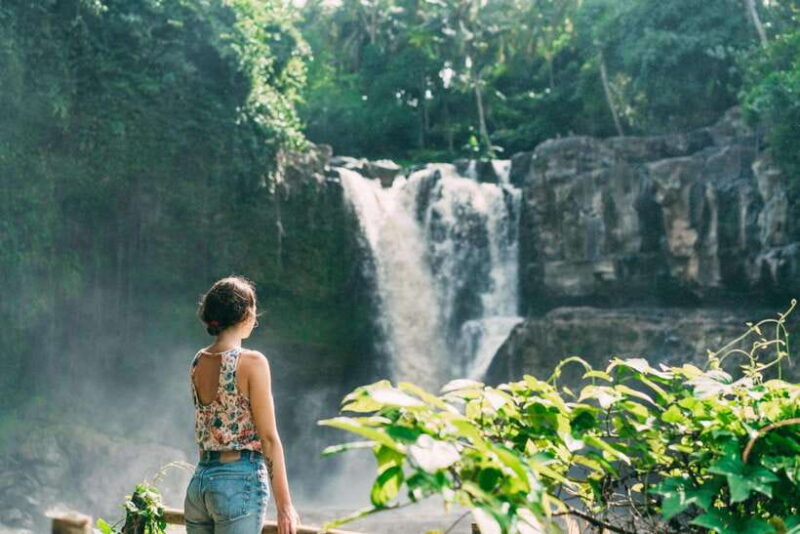Ubud: Waterfall, Rice Terrace & Temple Private Day Tour - Who Is This Tour Best For?