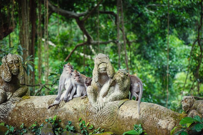 Ubud: Waterfall, Rice Terraces, and Monkey Forest Private Tour - Practical Details and Tips
