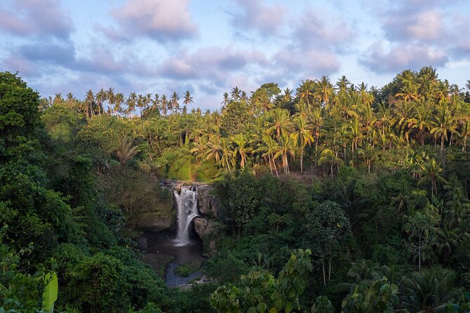 Ubud waterfall, rice terraces, and swing explore - Why Travelers Love This Tour