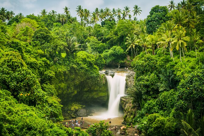 Ubud waterfall, rice terraces, and swing explore - Things to Consider
