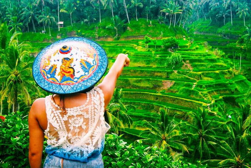 Ubud: Waterfall, Rice Terraces & Monkey Forest Private Tour - An In-Depth Look at the Ubud Waterfall, Rice Terraces & Monkey Forest Tour