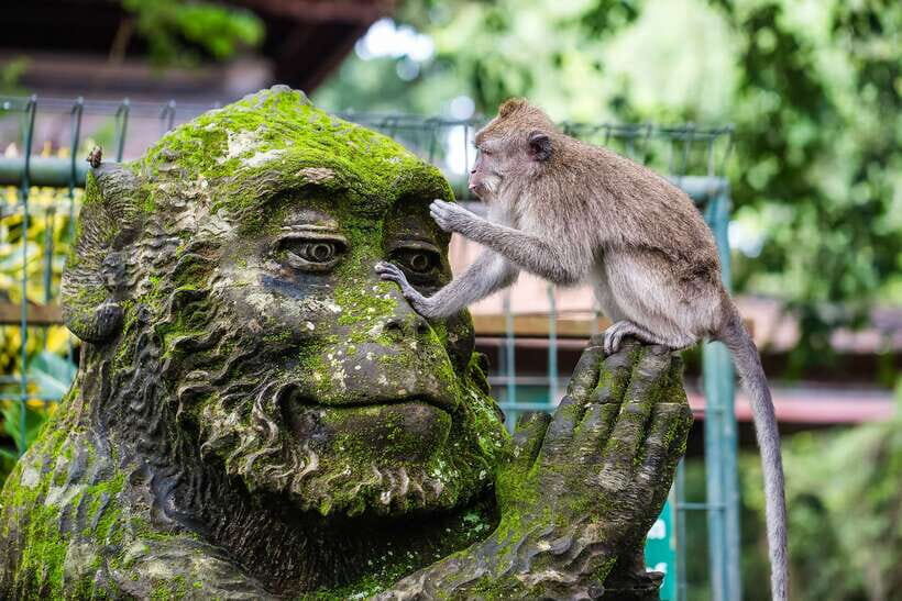 Ubud: Waterfall, Rice Terraces & Monkey Forest Private Tour - The Sum Up
