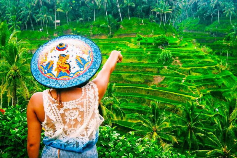 Ubud: Waterfall, Rice Terraces & Monkey Forest Tour - Key Points