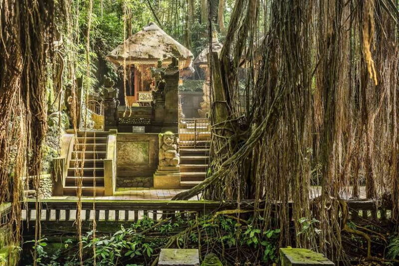Ubud: Waterfall, Rice Terraces & Monkey Forest Tour - Who Will Enjoy This Tour?
