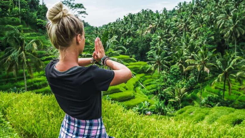 Ubud: Waterfall, Rice Terraces & Monkey Forest Tour - The Sum Up