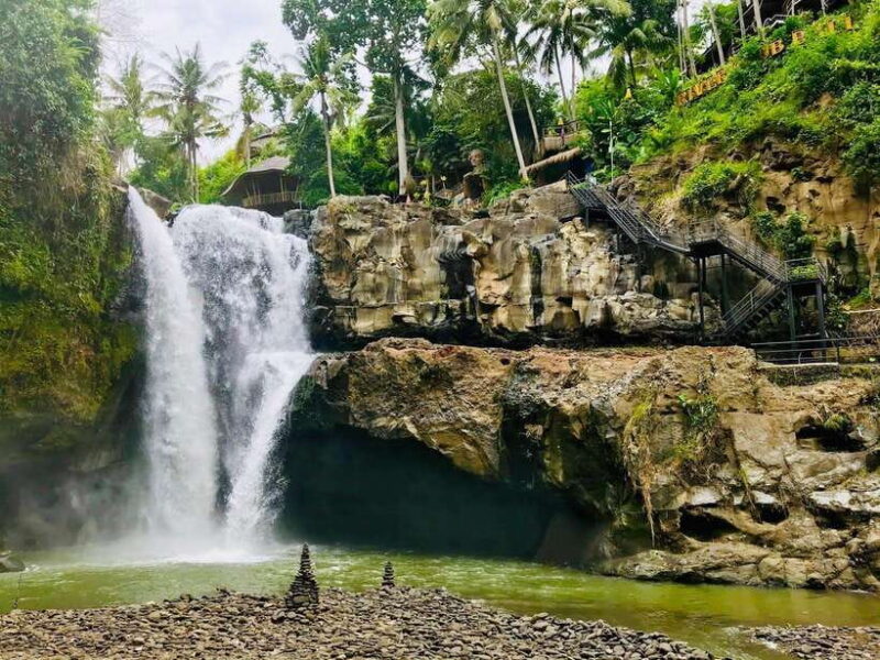 Ubud: Waterfall, Ricefield, Purification Ritual Private Tour - Key Points