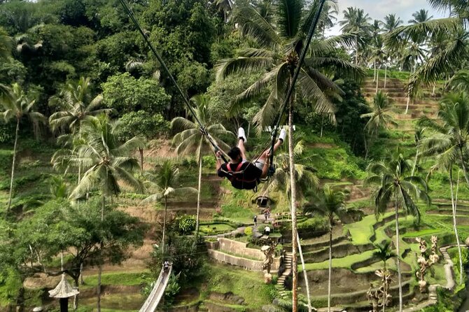 Ubud Waterfall Swing And Spring Temple Private Guided Tour - The Sum Up