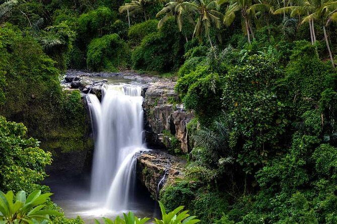 Ubud Waterfall Tour - Overview of the Ubud Waterfall Tour