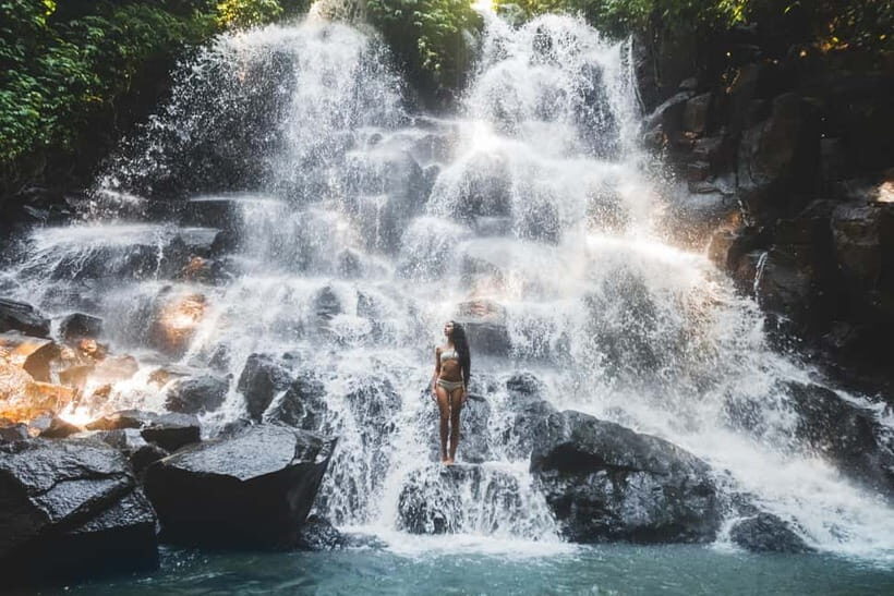 Ubud: Waterfall, Water Temple and Monkey forest Private Tour - Discovering the Heart of Ubud