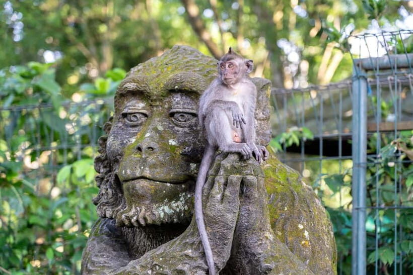 Ubud: Waterfall, Water Temple and Monkey forest Private Tour - Practical Tips for Your Day